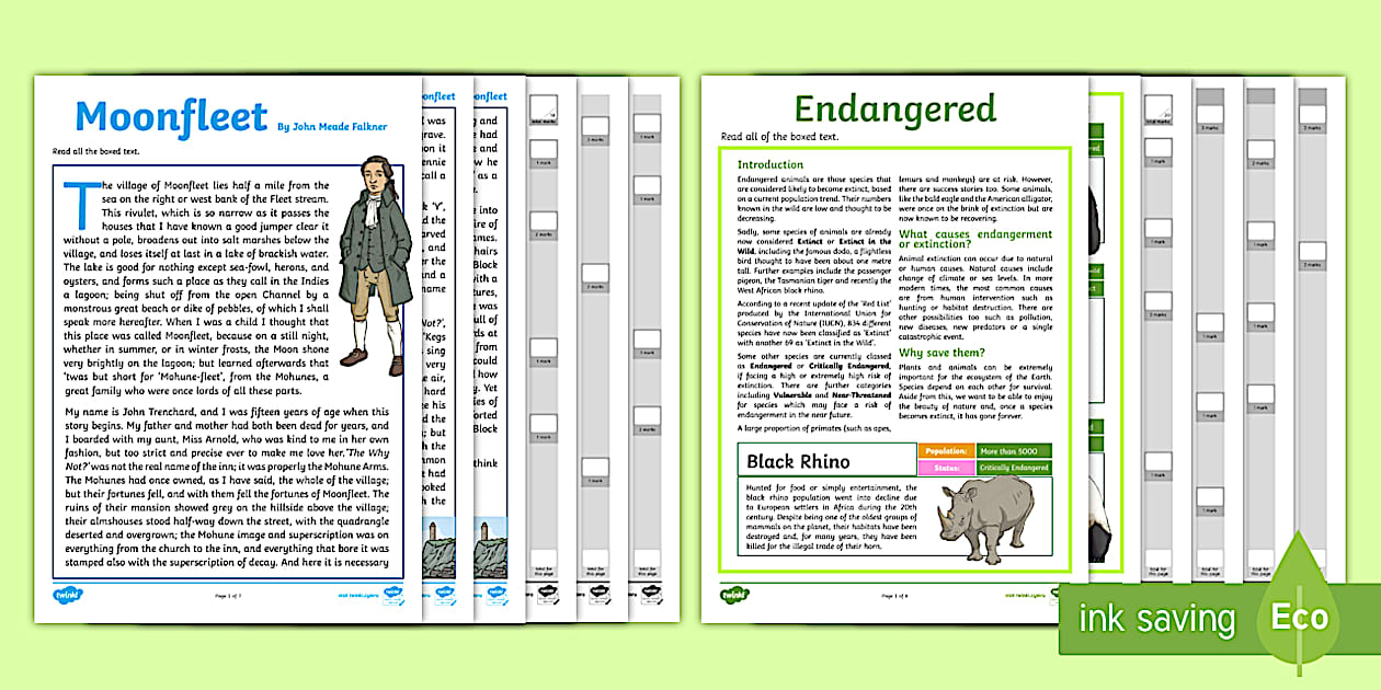 Moonfleet Comprehension Answers and Resource Pack - Twinkl