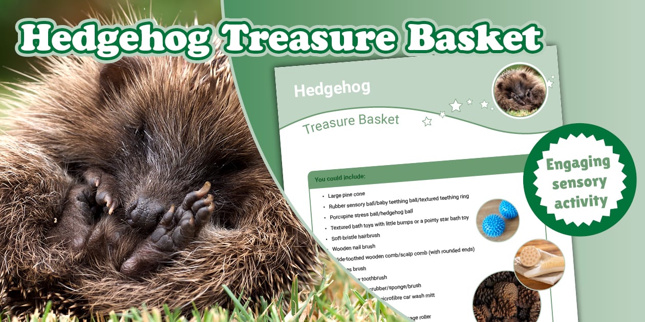 Sensory Hedgehog Treasure Basket Ideas | Twinkl | EYFS