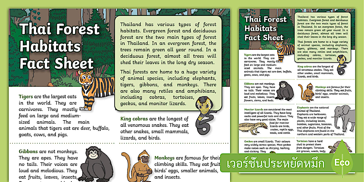 Thai Forest Habitats Fact Sheet (teacher made) - Twinkl