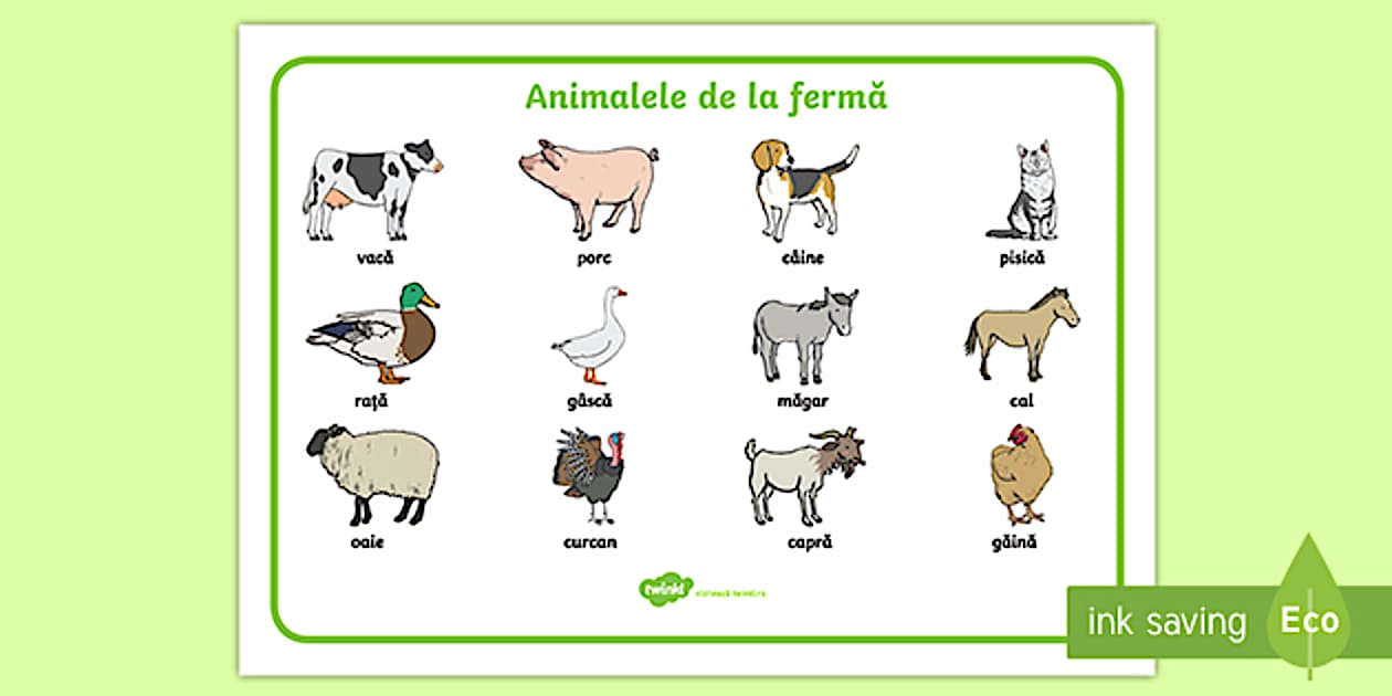 Animale domestice - planșă pentru copii - Twinkl România