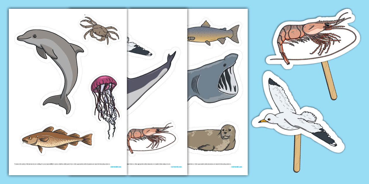 Irish Seaside Creatures Stick Puppets (teacher made)