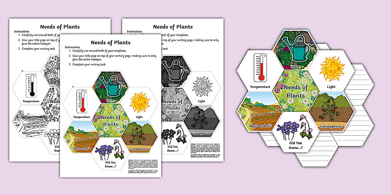 Needs of Plants Hexagon Writing Template - Twinkl