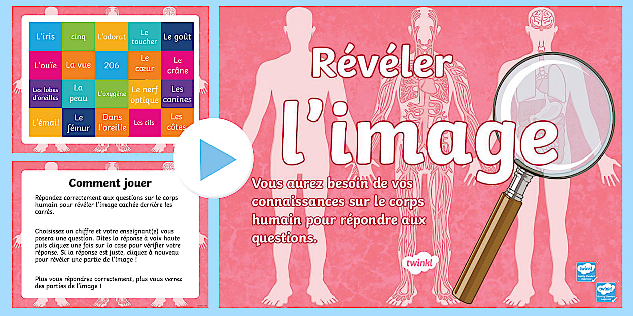 Powerpoint : Révéler l'image