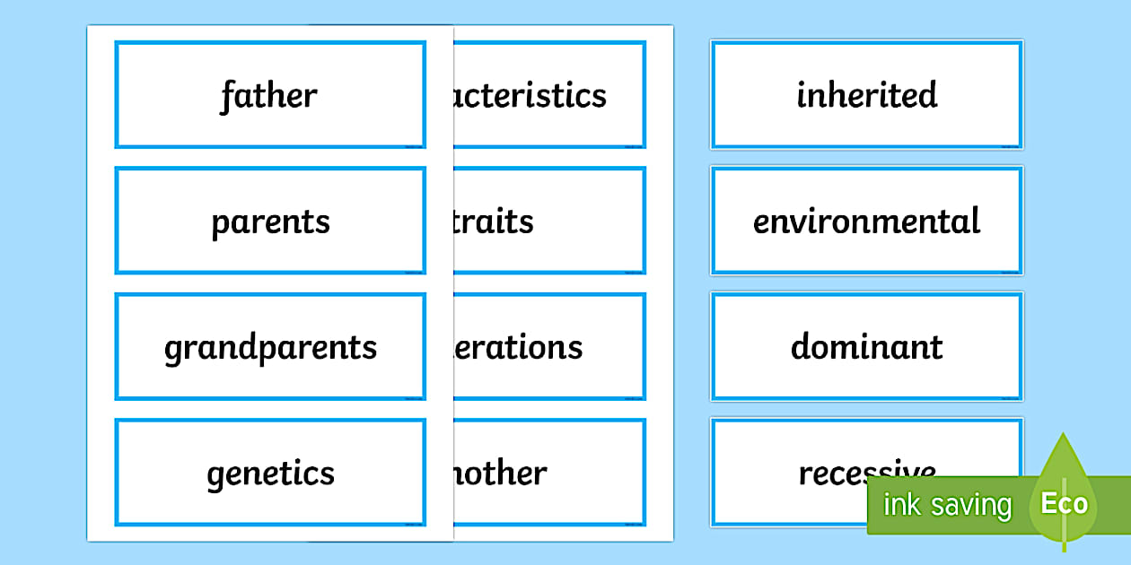 Inheritance Word Cards (teacher made) - Twinkl