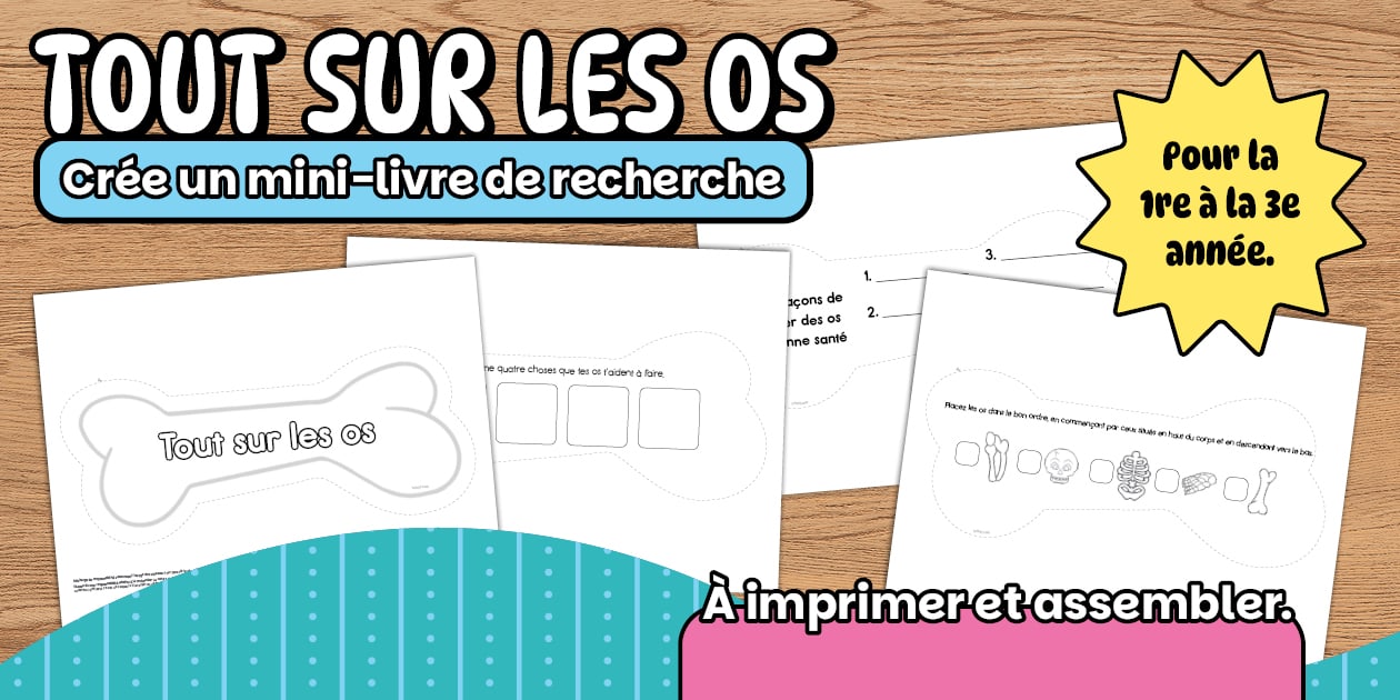 All About Bones: Make a Mini Research Book French