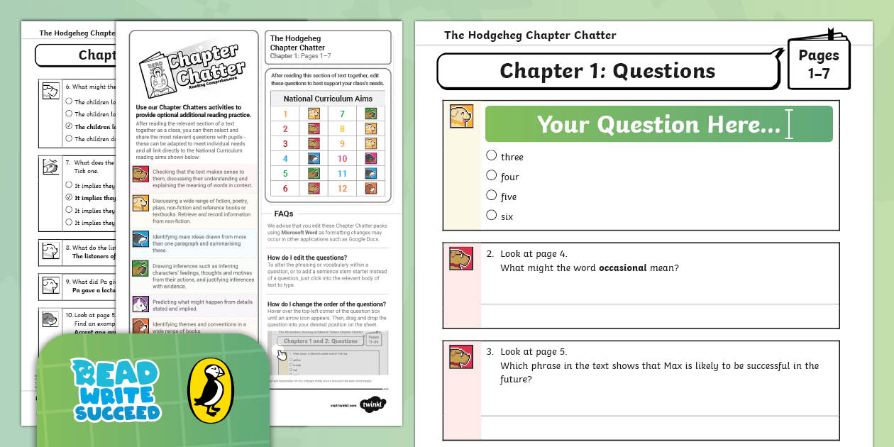 FREE! - The Hodgeheg Chapter Chatter Comprehension Activities Bumper Pack
