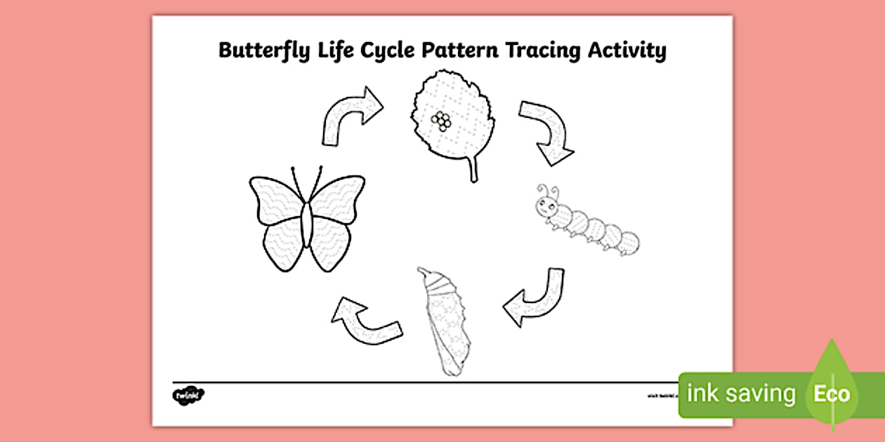 Life Cycle of a Butterfly Pattern Tracing Activity - Twinkl