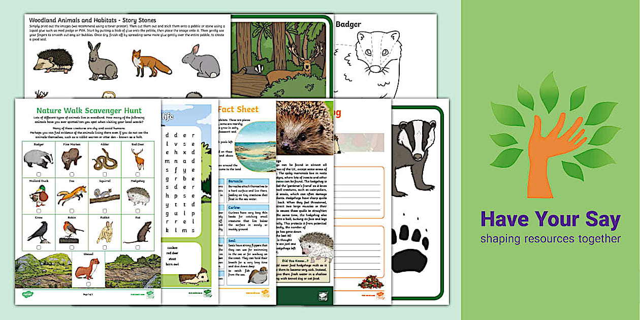 Woodland Animal Journey Resource Pack (teacher made)