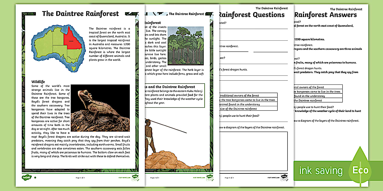 TAS Daintree Rainforest Differentiated Reading Comprehension Activity