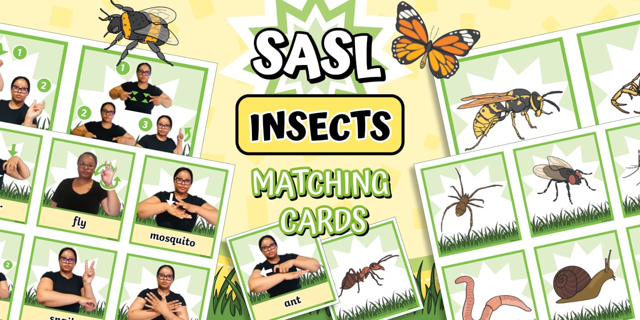 FP - SASL - Insects - Matching Cards (CAPS Aligned)