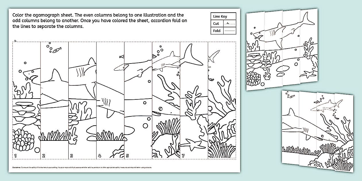Shark Agamograph - Twinkl Arts and Crafts (teacher made)