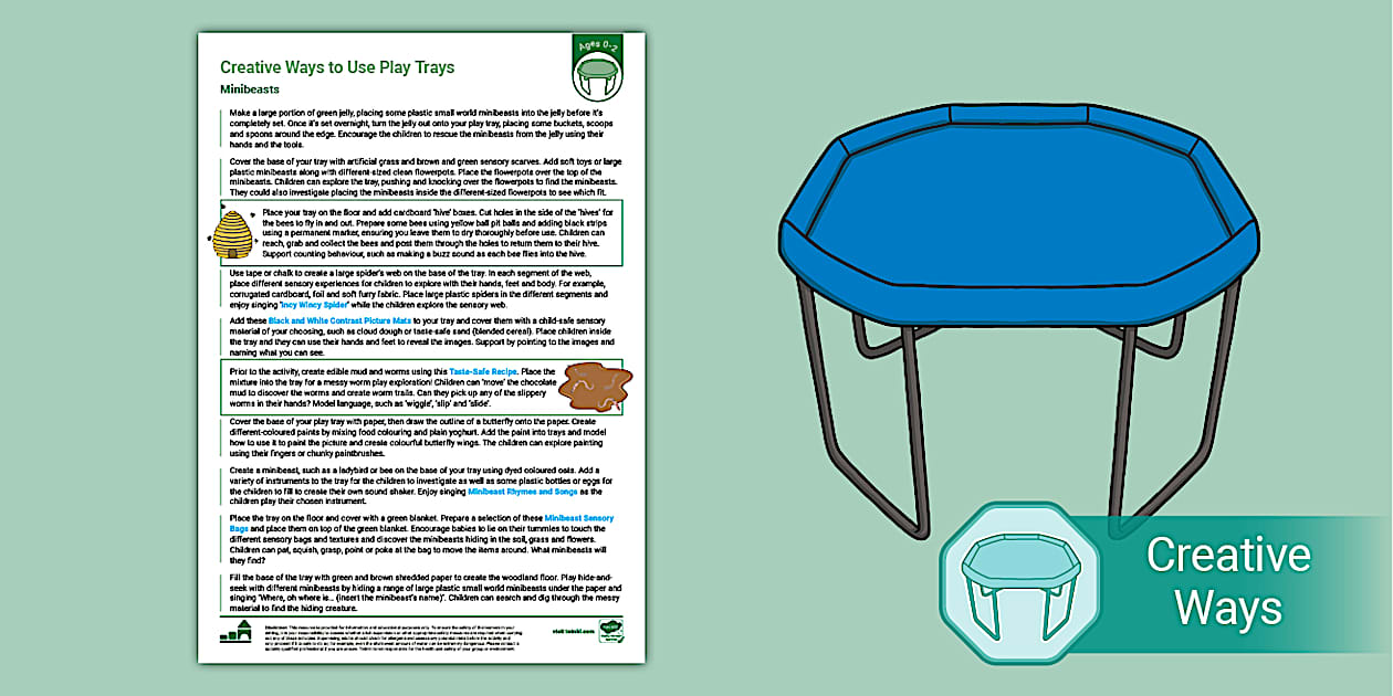 EYFS Ages 0-2 Play Trays: Minibeasts | Twinkl