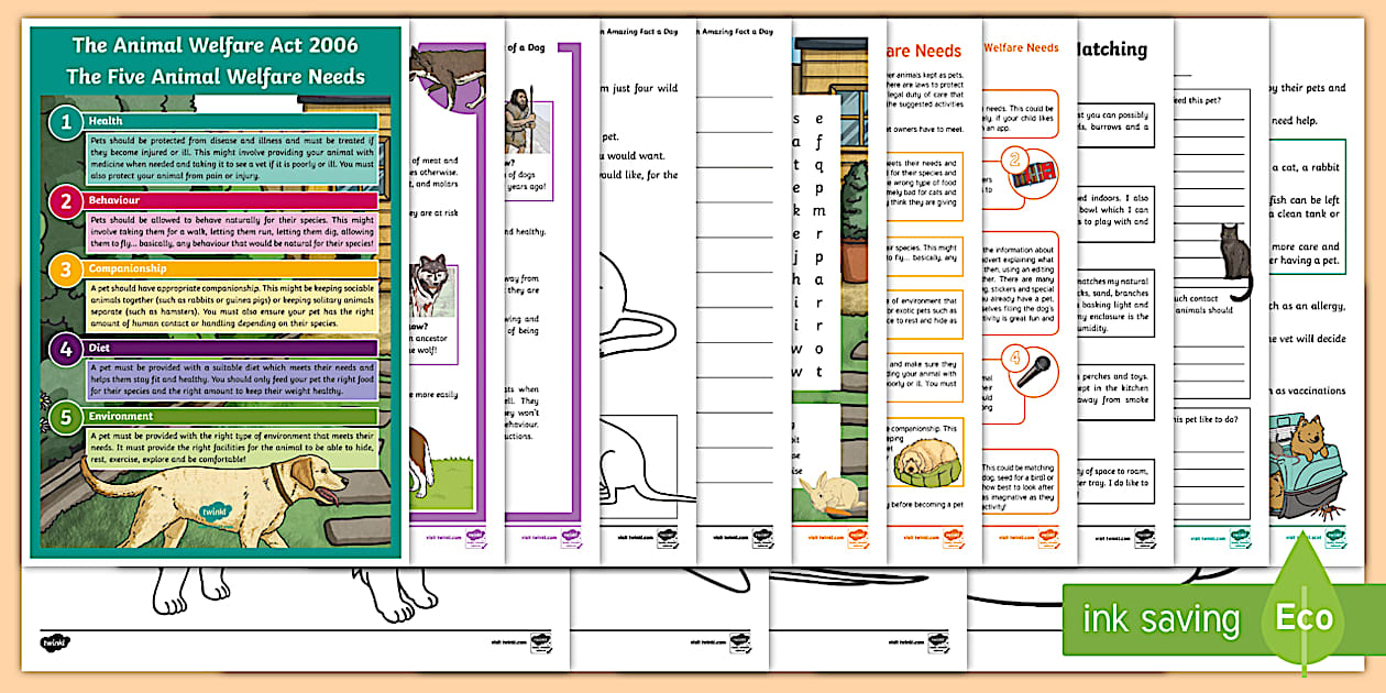 Month of Pets Learning from Home Activity Pack - Twinkl