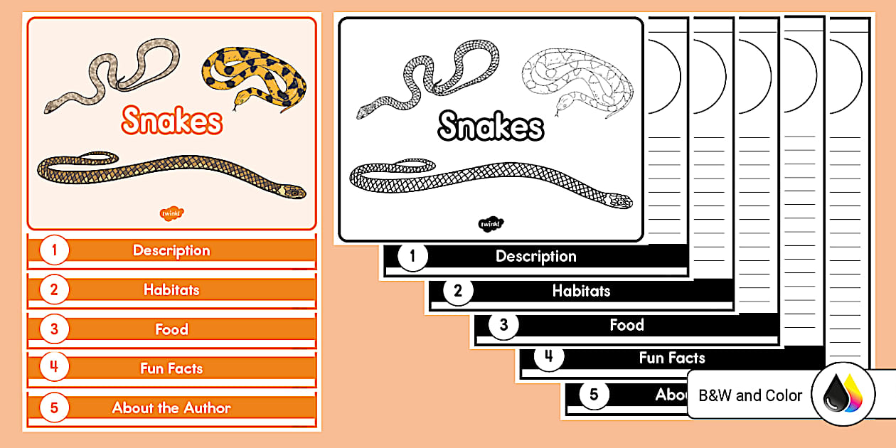 Snakes Flipbook for K-2nd Grade (teacher made) - Twinkl