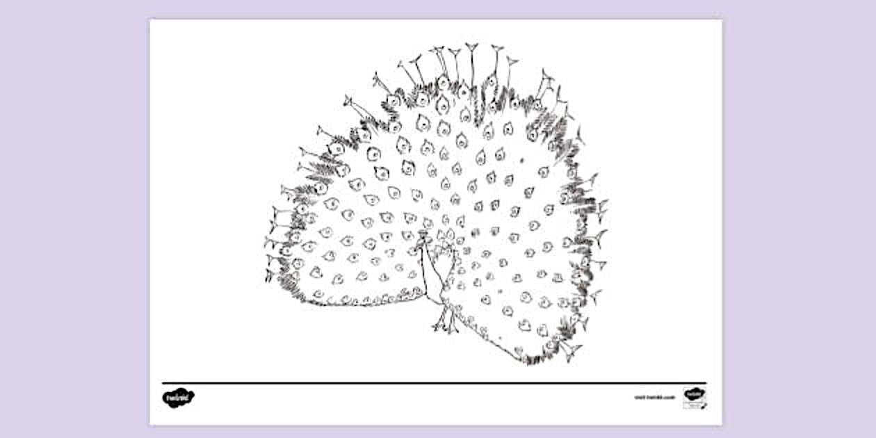 Proud Peacock Colouring Sheet (teacher made) - Twinkl