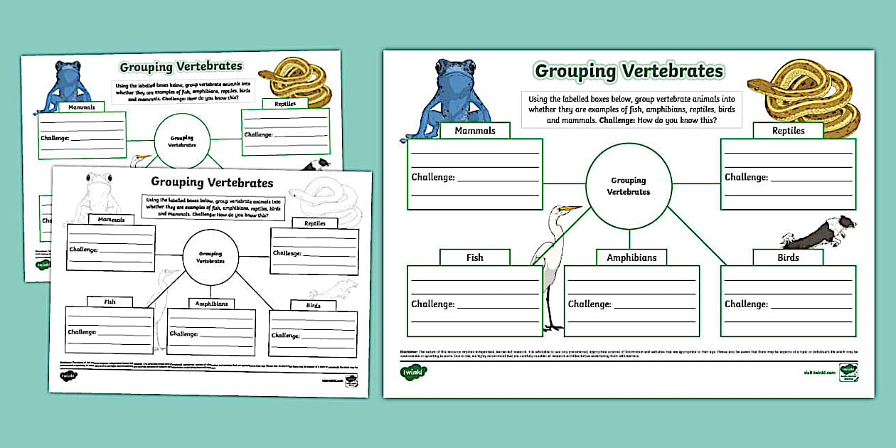 Grouping Vertebrates Mind Map - Twinkl