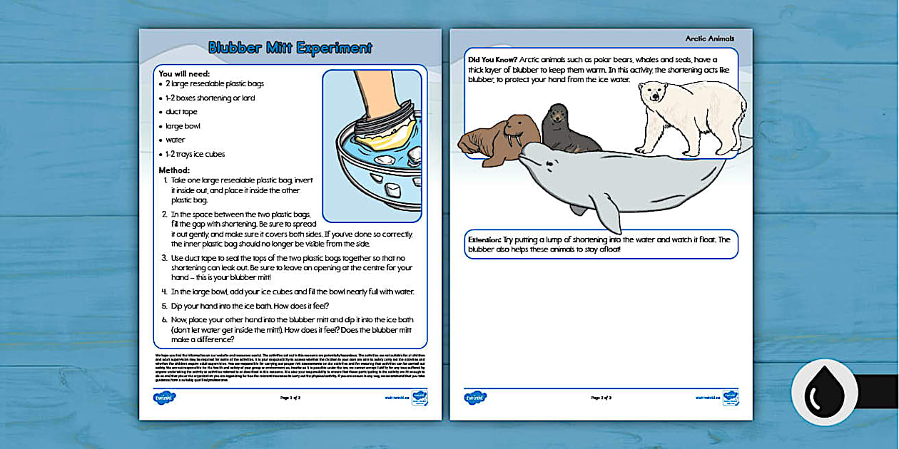 Blubber Mitt Experiment (teacher made) - Twinkl