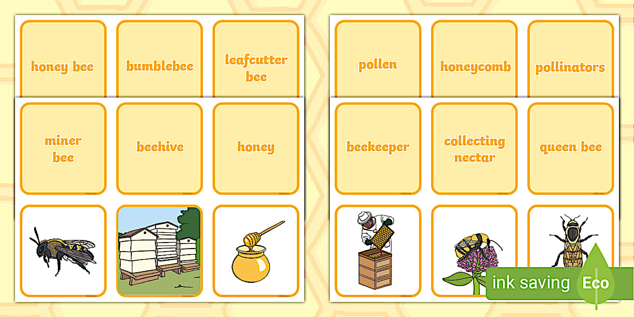 World Bee Day Matching Cards (teacher made) - Twinkl
