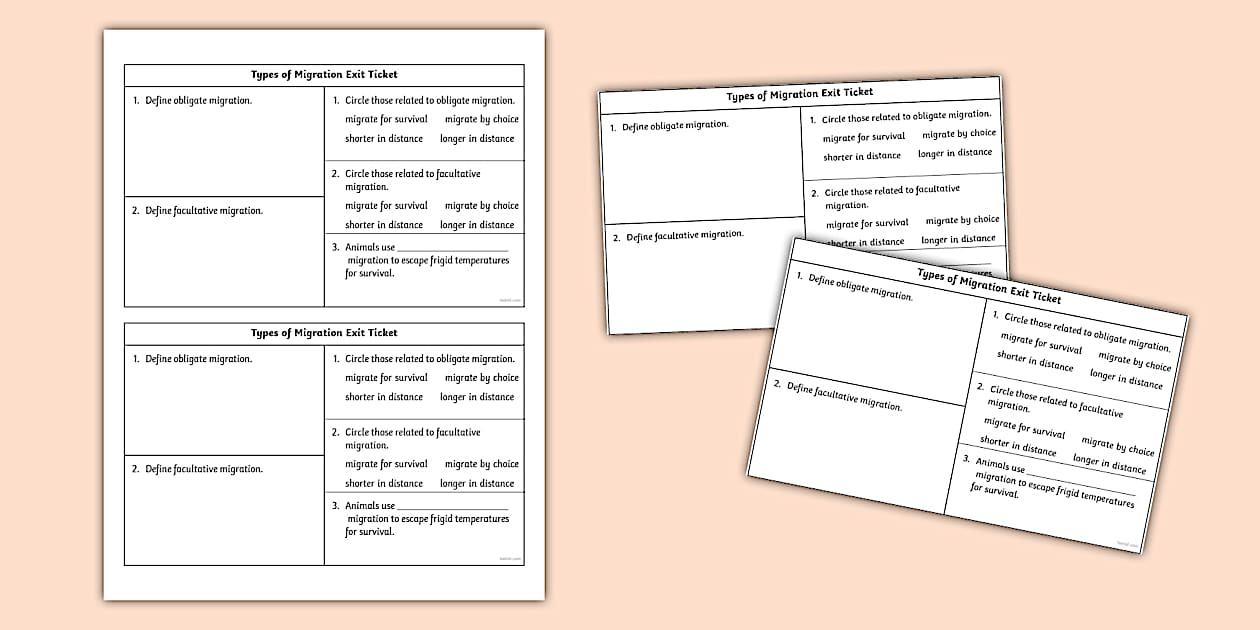 Types of Migration Exit Ticket - Twinkl