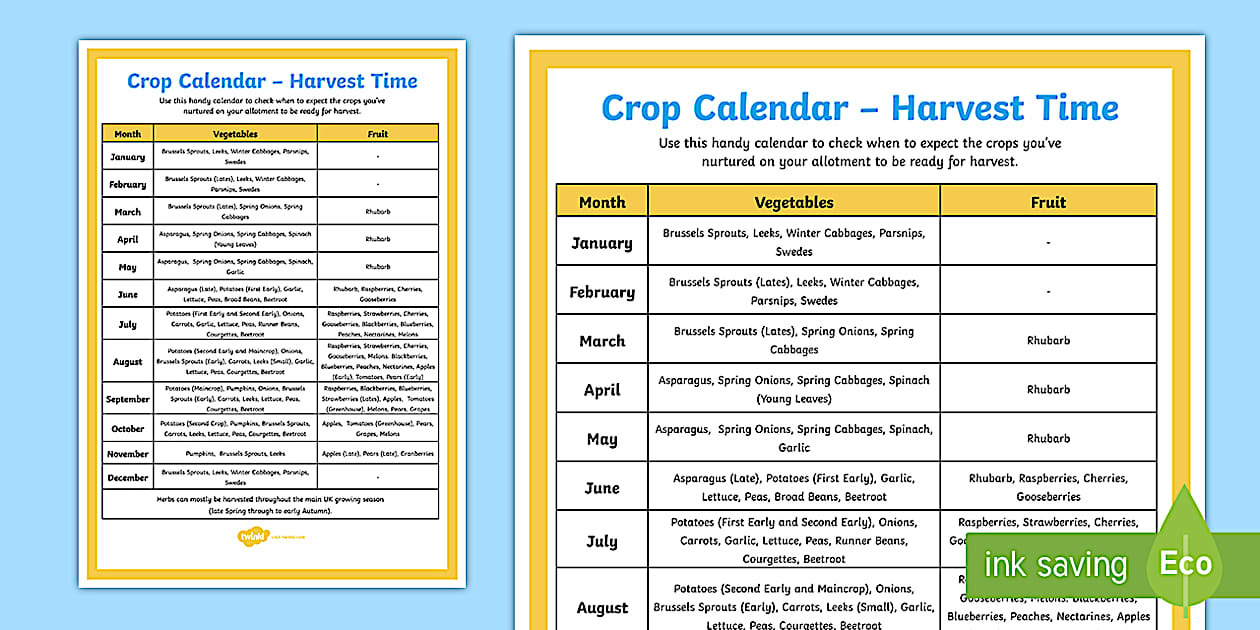 Harvest Time Crop Calendar (Teacher-Made) - Twinkl