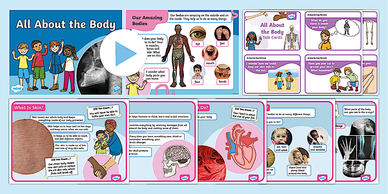 All About the Body PowerPoint and Fact Files Pack | Twinkl