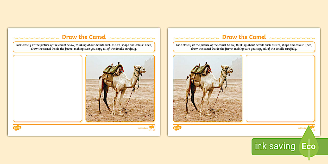 Draw the Camel Art Activity (teacher made) - Twinkl