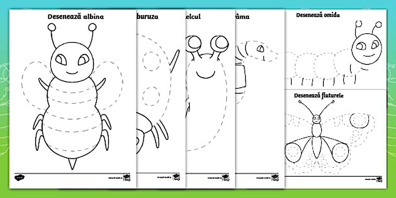 Desenează insecte și mici viețuitoare – Trasare după model