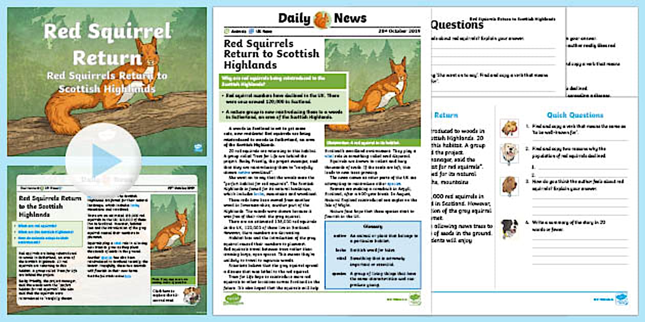 Red Squirrels Return Resource Pack | Daily News for UKS2