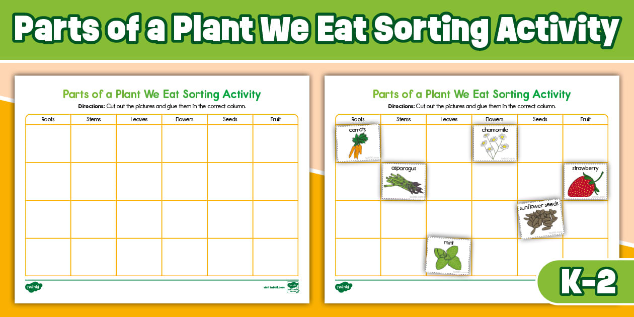 Parts of a Plant We Eat Sorting Activity