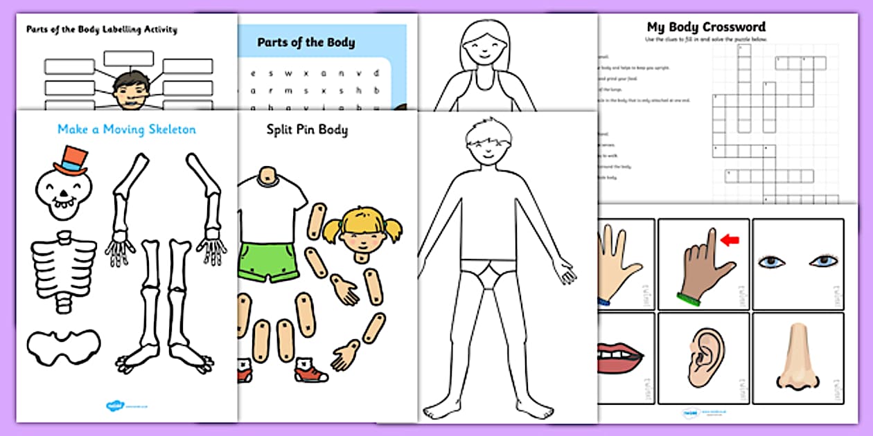 Human Body Project - Top Ten Resources Pack - Twinkl