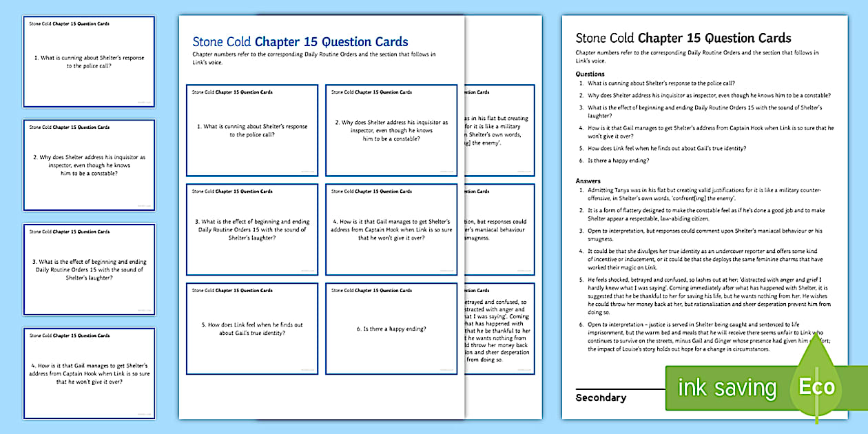 Chapter 15 Question Cards to Support Teaching on 'Stone Cold' by Robert