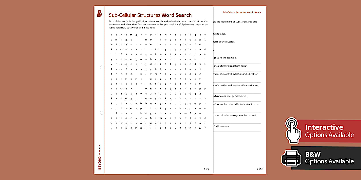 Sub-Cellular Structures Word Search | Biology | Beyond