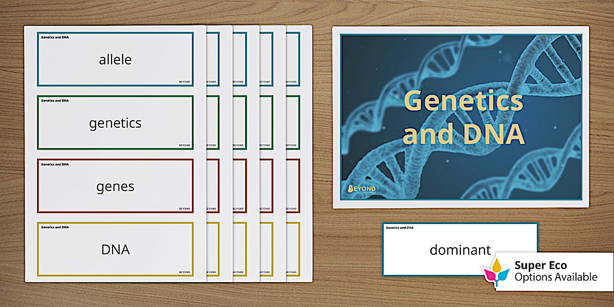 Genetics and DNA Word Wall (teacher made) - Twinkl