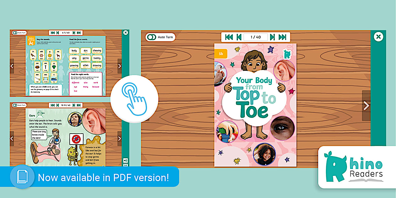 Level 5b Decodable Readers: Your Body From Top to Toe