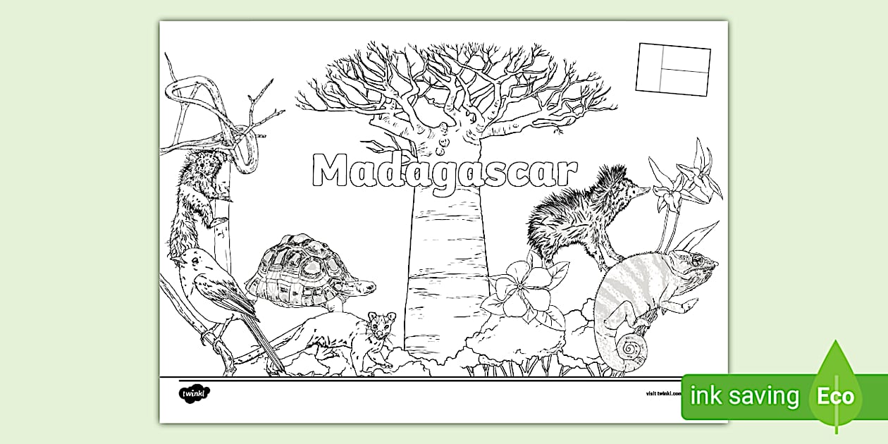 Madagascar Colouring Page (Hecho por educadores) - Twinkl