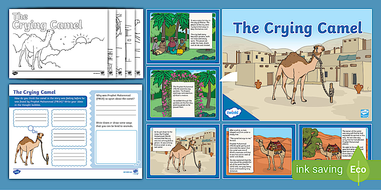 KS1 The Crying Camel Teaching Pack (teacher made) - Twinkl