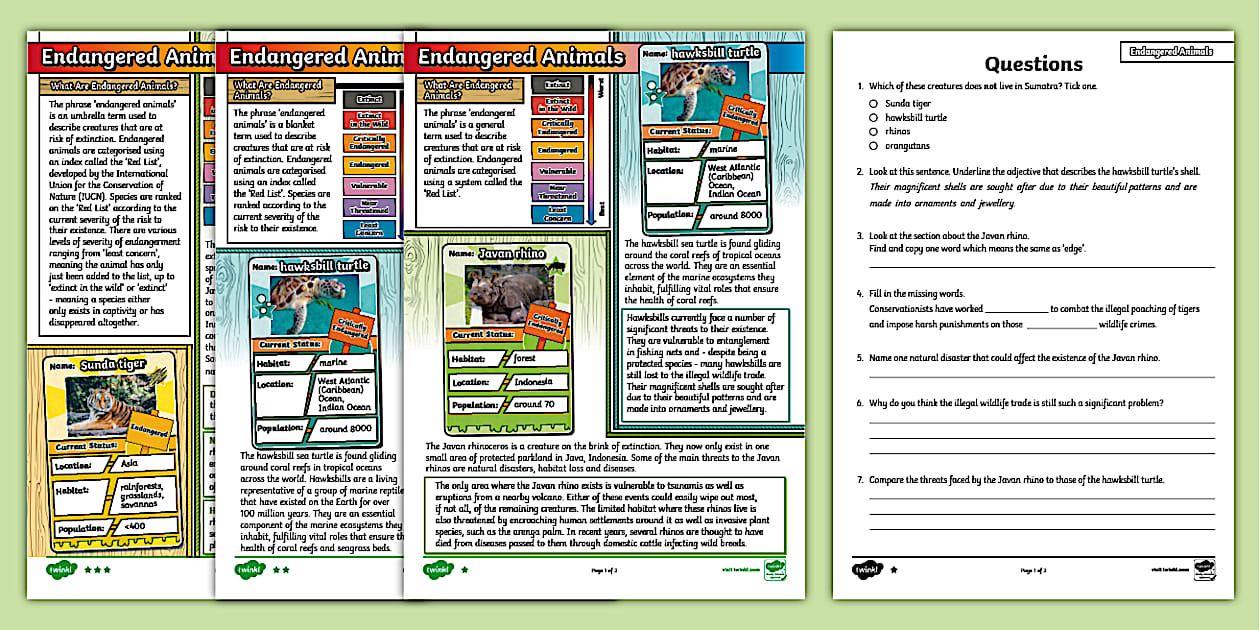 UKS2 Endangered Animals Reading Comprehension Activity