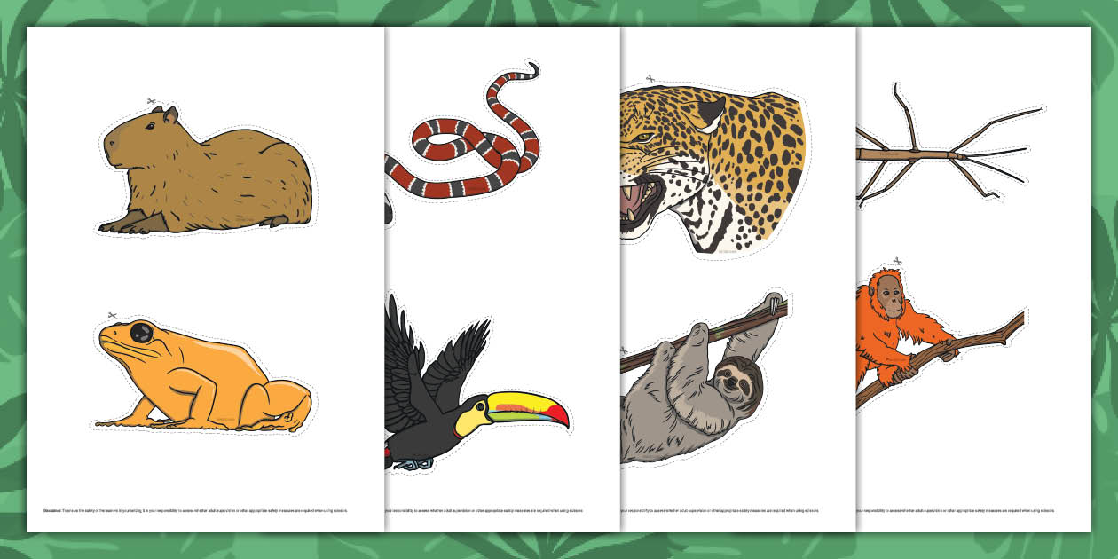 Jungle and Rainforest Animals Display Cut-Outs - Twinkl