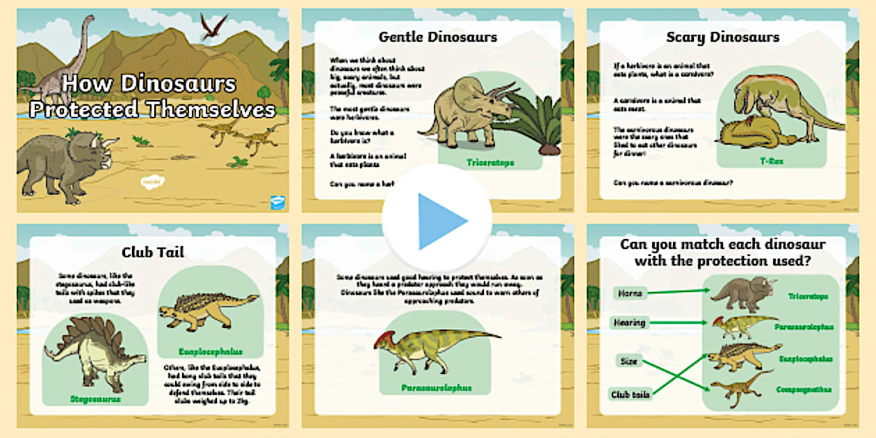 Dinosaurs' Protection Techniques PowerPoint | Twinkl
