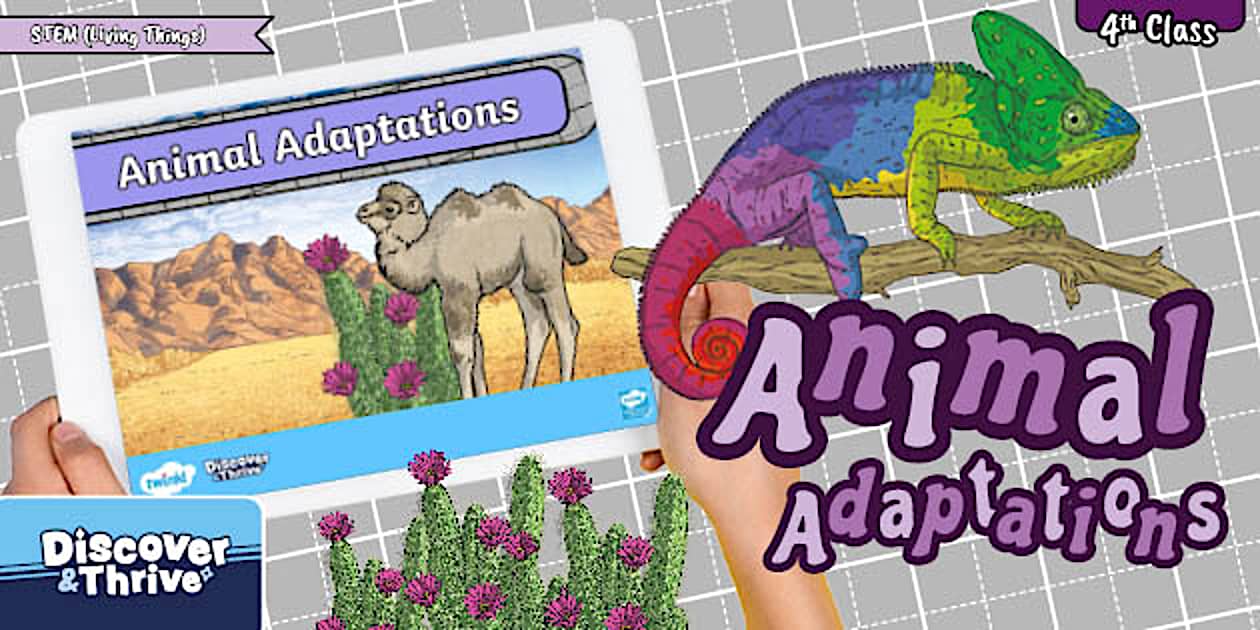 Adaptations Powerpoint 4th Class