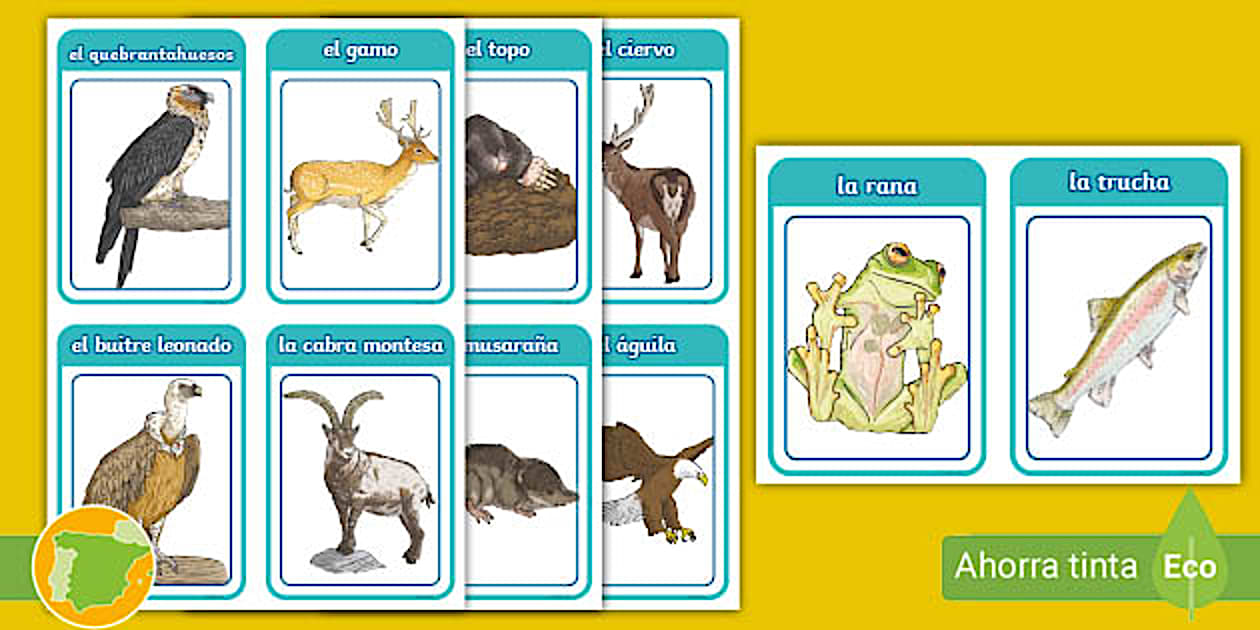 Tarjetas educativas: Animales de España