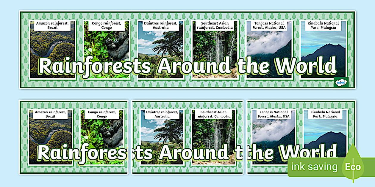 Rainforests Around the World Photo Display Banner - Twinkl
