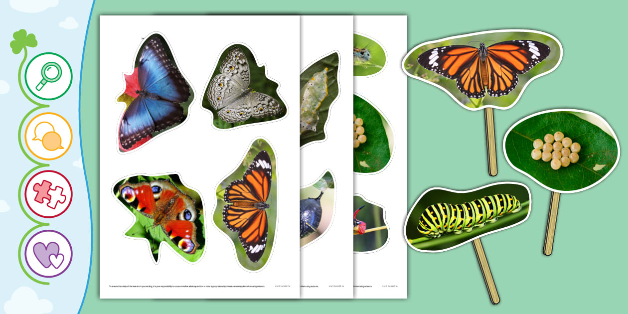 The Life Cycle of a Butterfly Stick Puppets (teacher made)