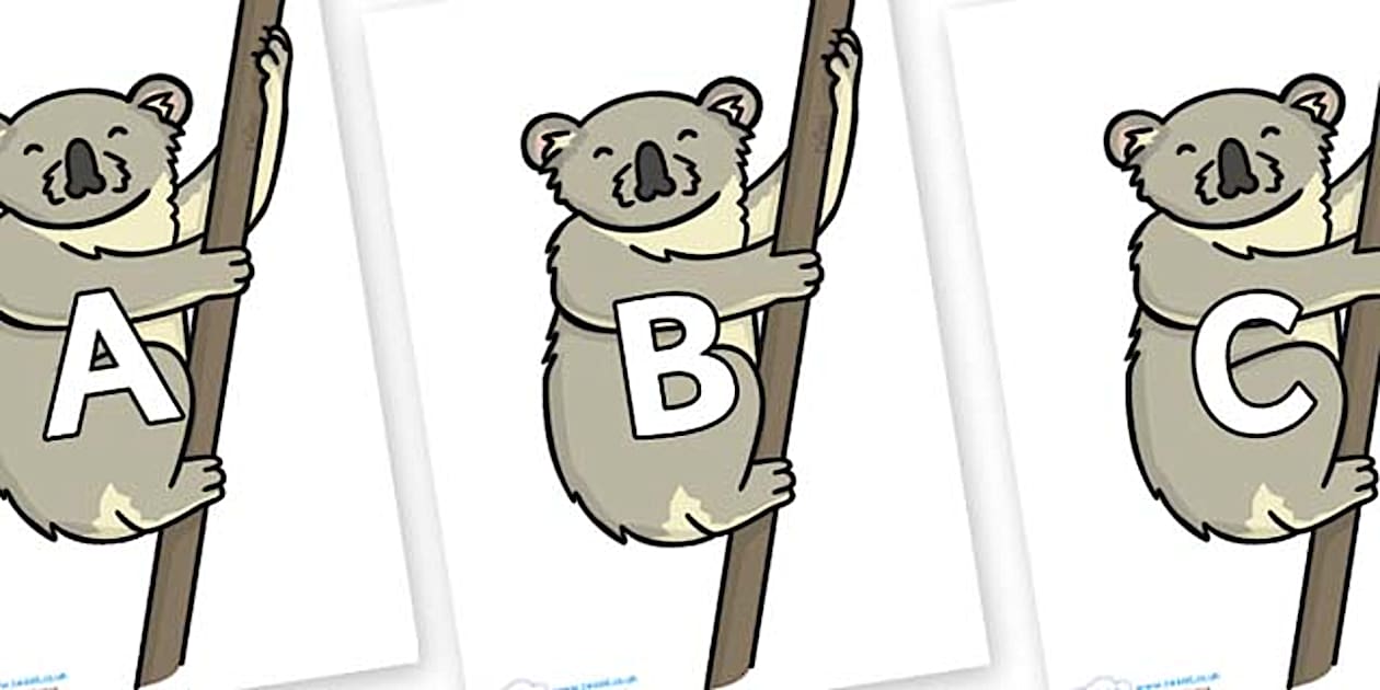 A-Z Alphabet on Koalas