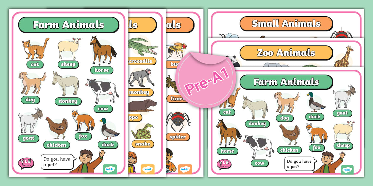 YLE Starters - Vocabulary Posters (Animals) - Twinkl