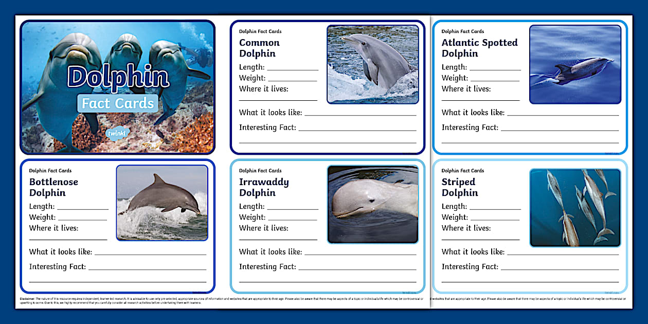 Dolphin Fact Cards Template (teacher made) - Twinkl