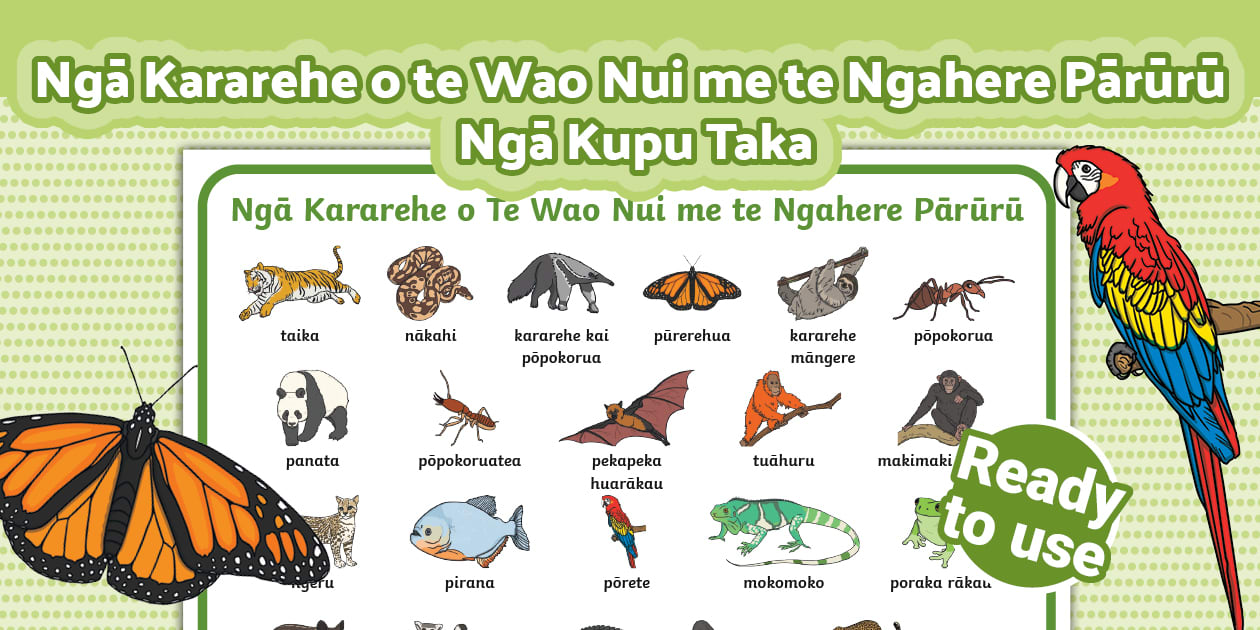 Ngā Kararehe o te Wao Nui me te Ngahere Pārūrū - Ngā Kupu Taka