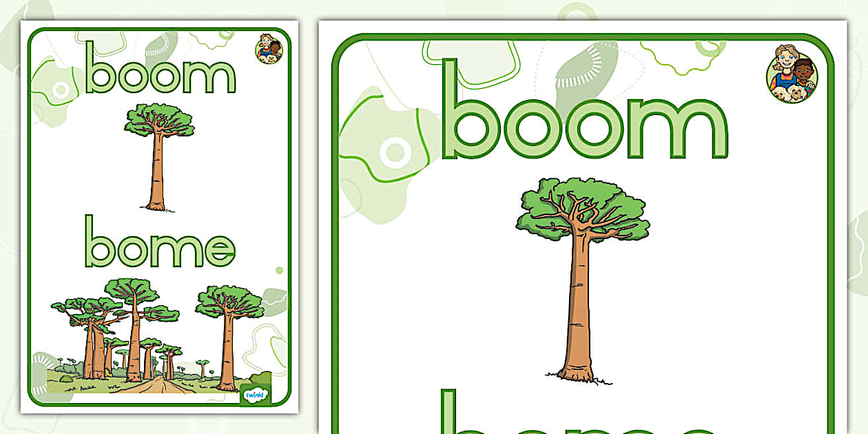 Graad 3 Klanke: Plakkate Meervoude boom - bome - Twinkl