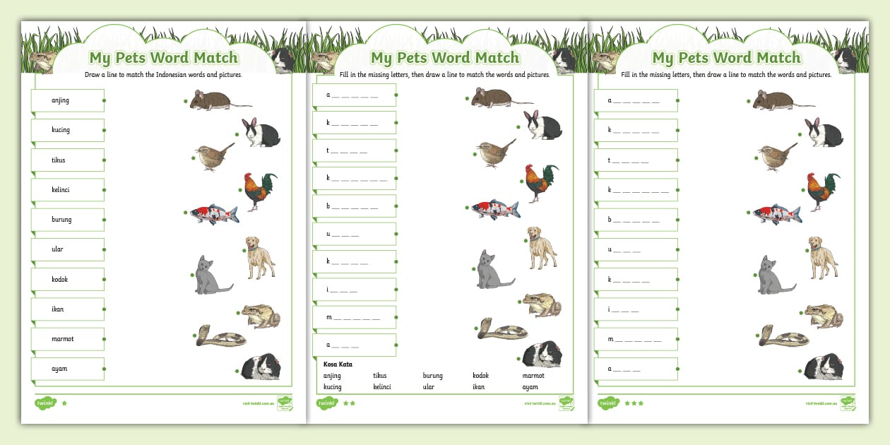 My Pets - Differentiated Matching Activity Indonesian