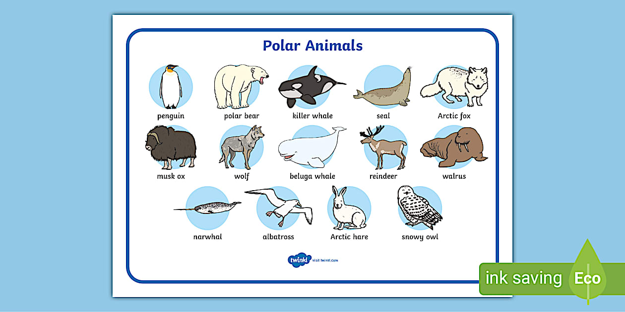 Precursive Polar Animals Word Mat (teacher made) - Twinkl